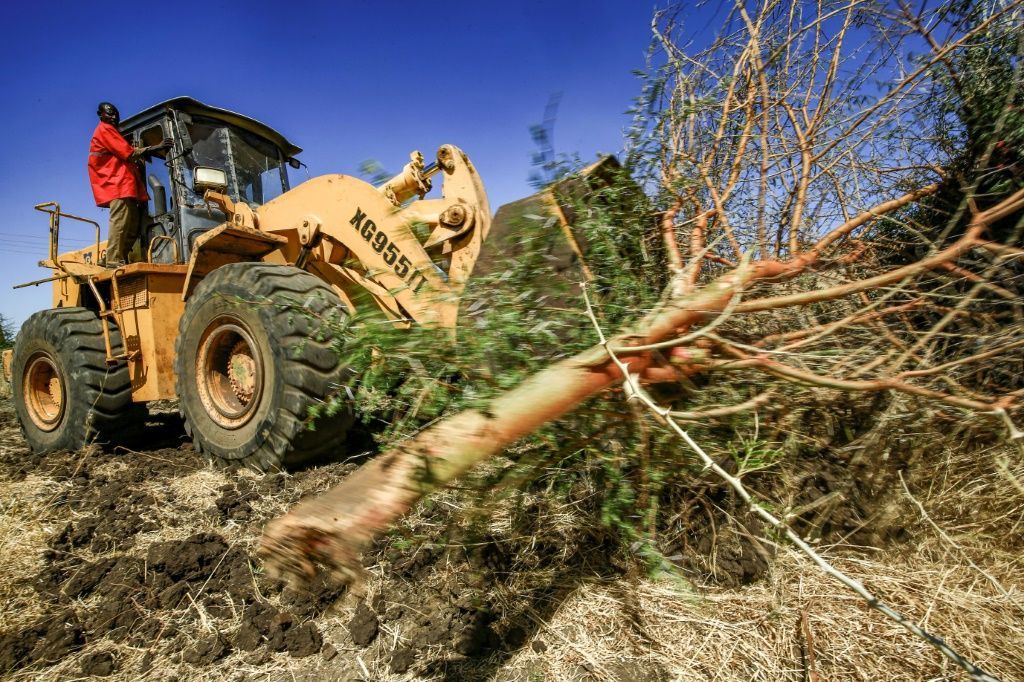 Trees Bulldozed To Make Way For Refugee Shelters In Sudan
