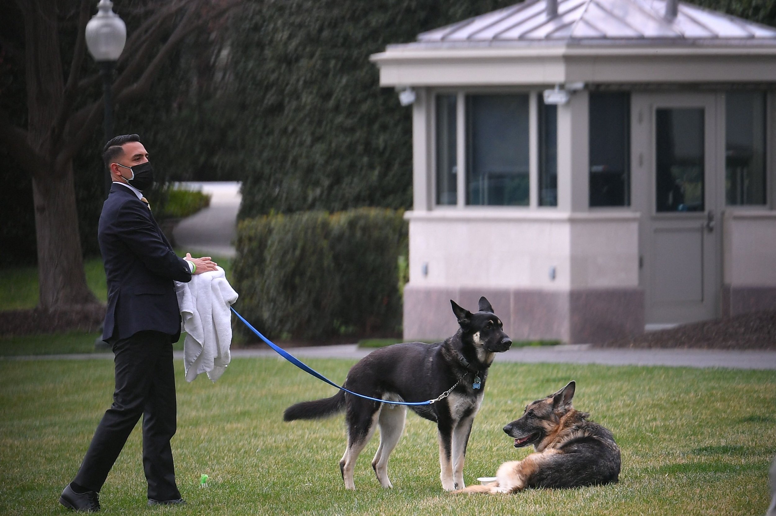 President Biden Mourns Dog Champ