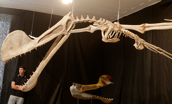 This New Dinosaur Species Is 'Closest Thing To Real-Life Dragon'