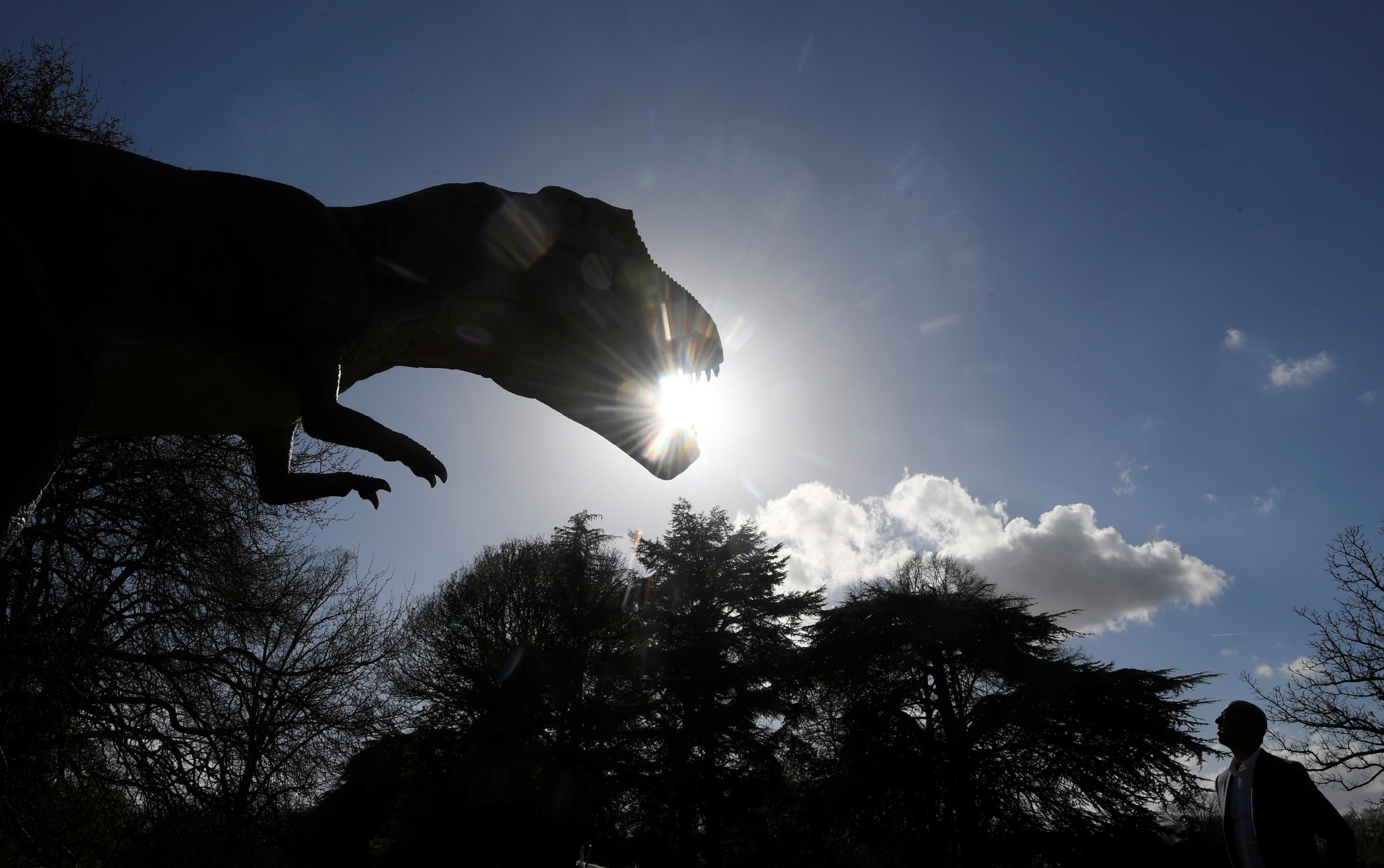 'Unusual' Fossil Footprints Show Evidence Of Injured Dinosaur: Researchers